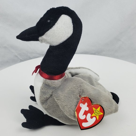 Toys | Ty Beanie Babies Collection Loosy The Canadian Goose 1998 ...